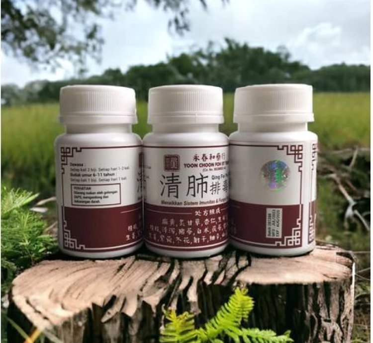 Qing Fei Pai Du Tang For Treating Lungs Immunity And Breathing 10 Box ...